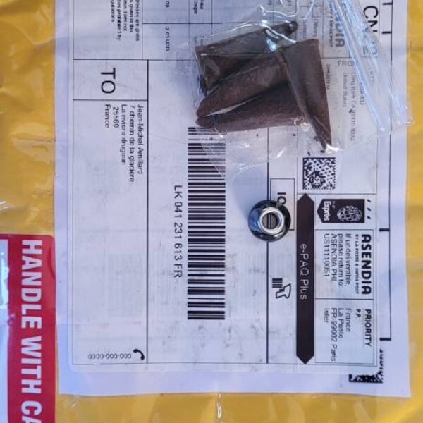 Custom Conjuring of Fu Dog Pair - Elite and Unstoppable Guardians ...