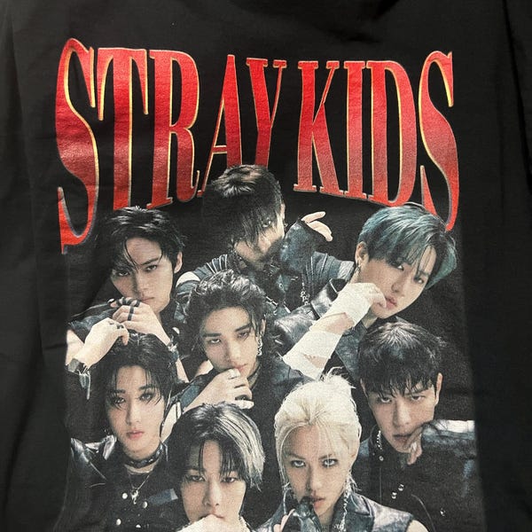 Lee Know Stray Kids Retro Shirt, Lee Know Stray Kids Shirt, Stray Kids ...