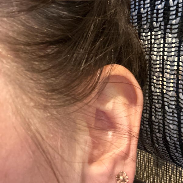 Dainty Dragonfly Threadless Flat Back Earrings, 20,18,16ga, 5-10mm ...