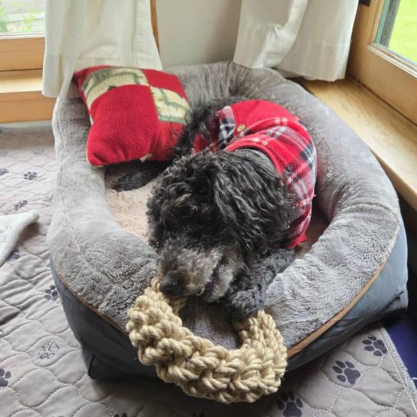 Flamingo Rope Dog Toy， Toys for Small and Meddle Dogs，eco-friendly Toys ...