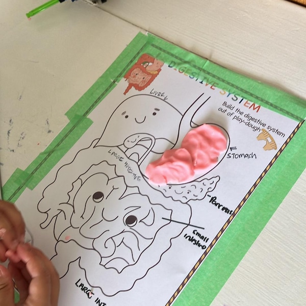 Human Organs Play Dough Mats Fine Motor Skills Preschool Printables ...