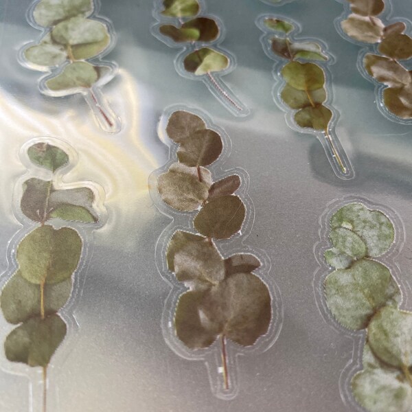 Eucalyptus Plant Stickers, Eucalyptus Leaf Planner Stickers, Leaves ...