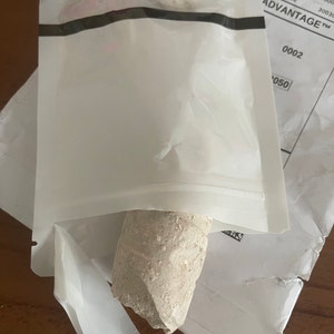 White Kola Nuts/ 5 Pieces - Etsy