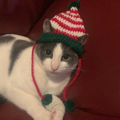 Crochet Pattern: Elf Hat for Cats, Cat Elf Hat Pattern, Christmas ...