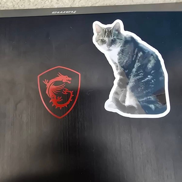 Custom Cartoon Sticker From Photo, Personalized Sticker Gift, Cartoon ...