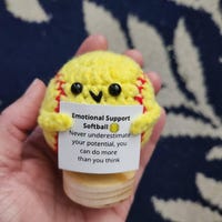 2PCS Crochet Emotional Support Poo/toilet Paper, Positive Poo, Positive ...