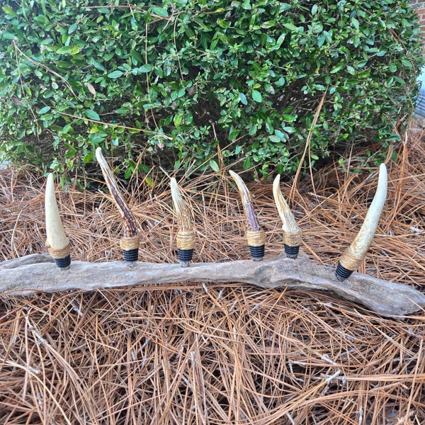 NEW Natural Shed Real Deer Antler Knobs / Pulls Cabinet Dresser Hardware (1 EA) **oregon Antler ...