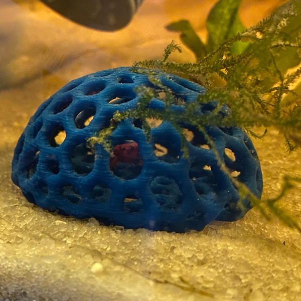 Active Betta Training Floating Ring. 3D Printed Betta Excercise Loops ...