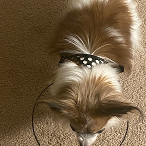 Fitted Bellus3d 3d Printed Masks - Etsy