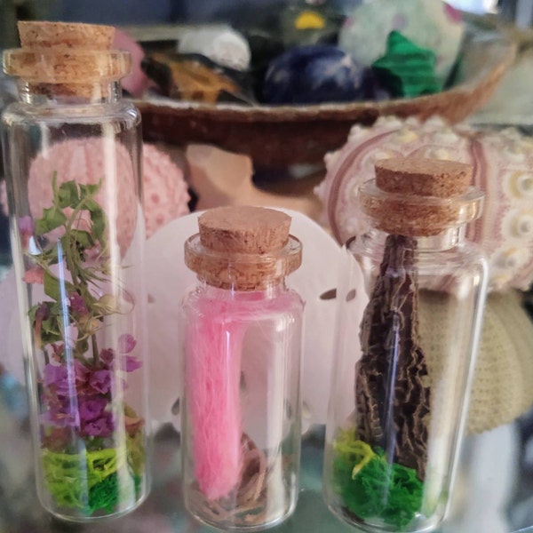 3pc Botanical Jars Set, Mini Dried Plant Jars, Cottage Decor, Floral ...