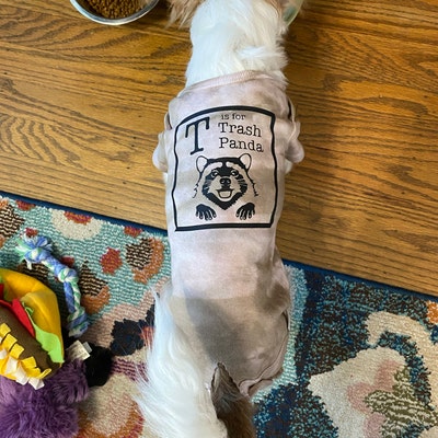 M is for Mothman Baby Onesies®, Witchy Occult Satanic Cryptid Goth Punk ...