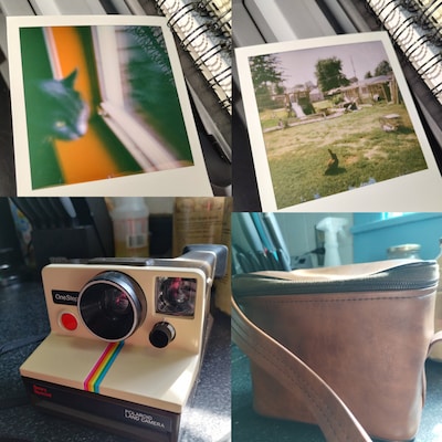 Vintage Polaroid Onestep SX-70 White Rainbow Stripe Instant Camera With ...