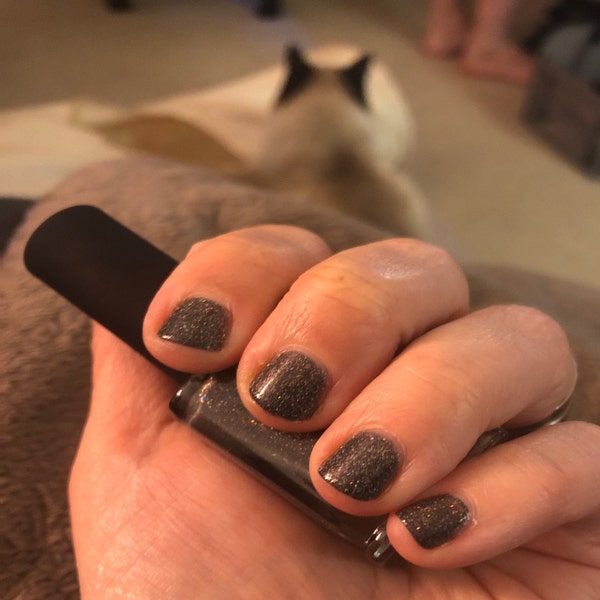 La Catedral Neutral Charcoal Grey Holographic Sheer Jelly Nail Polish