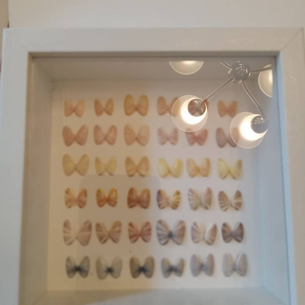 Framed Scallop Shell Art, Shell Art, Sea Shell Art, Sanibel Sea Shell ...