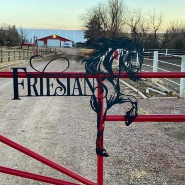 Personalized Dressage Horse Metal Wall Art, Gift for Dressage Rider or ...