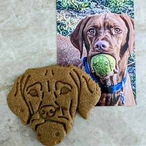 Labrador Cookie Cutter Dog Cookie Cutter Fondant and Clay - Etsy