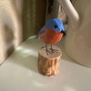 Robin Woodcarving - Etsy