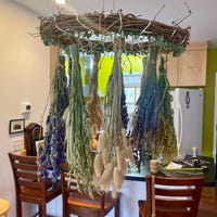 DIY Crow Surprise Box Host a Crow Party Trinket Boxes Ready to Fill ...