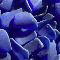 Terebra Turritella Shells 23, Purple Turritella, Beach Wedding Decor ...