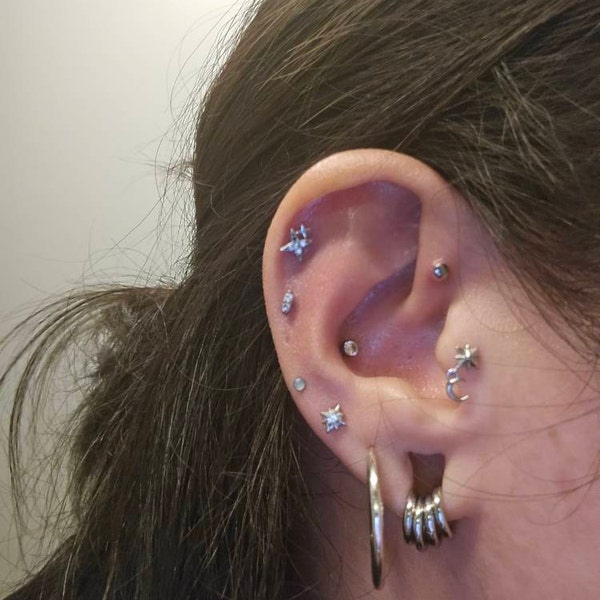 Bat Septum Ring, Nose Ring, Daith Ring, Hinged Clicker Hoop, 16ga 8mm ...