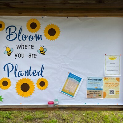 Spring Bulletin Board, Let's Grow Together Bulletin Board, Succulent ...