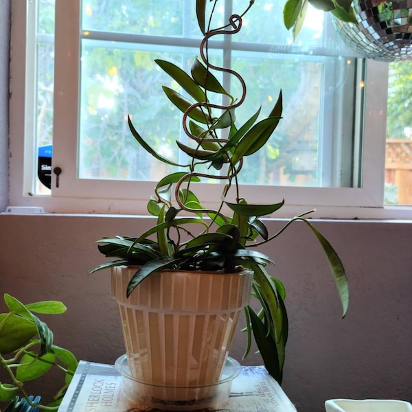 Steel Plant Sticks for Indoor House Plants, Set of 3, Decorative Plant ...