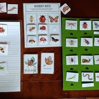 Mini Insect Unit - Nature Study - Etsy Australia
