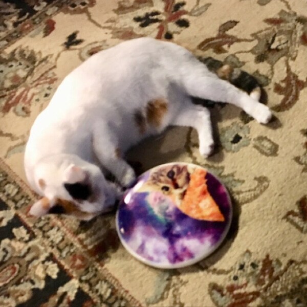 Stitch Art - Custom Disc Golf Disc - Dynamic Discs - Prodigy ...