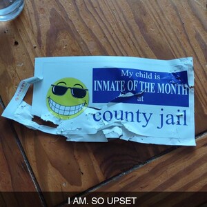 My Child Was Inmate of the Month at County Jail Funny Bumper Sticker ...