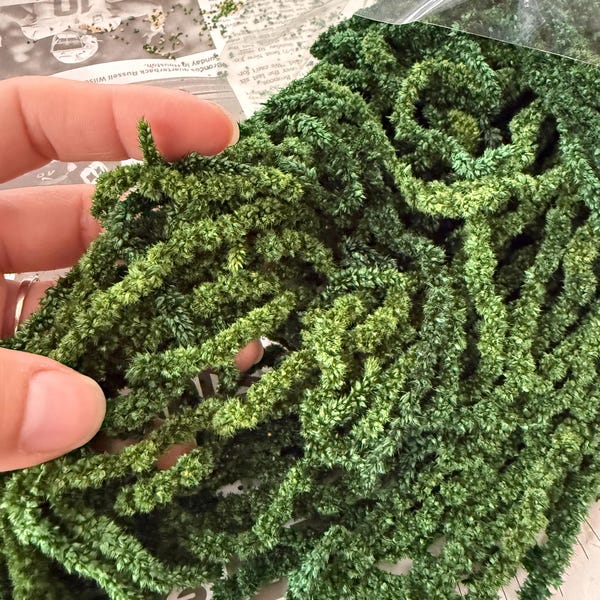Preserved Dark Green C Hanging Amaranthus | Wedding Holiday Table Decor ...