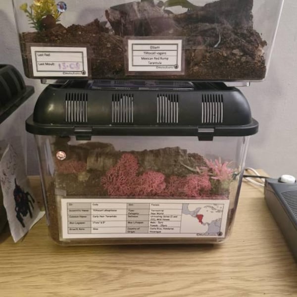 Small Terrarium Label Laminated Enclosure Label Exotic Pet Informative ...