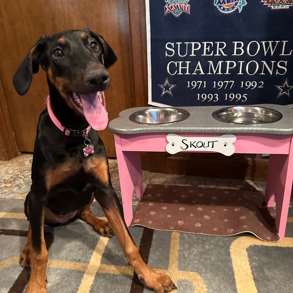 Princess Personalized Dog Feeder - Etsy