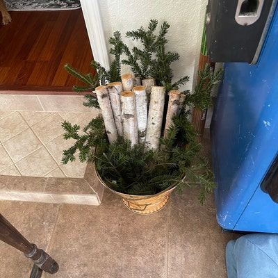 Birch Bundle of Logs 10 Free Shipping - Etsy