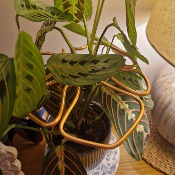 Monstera Shaped Plant Support - Gold Coloured - Etsy