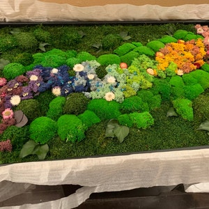 Fiplantartworks | Etsy