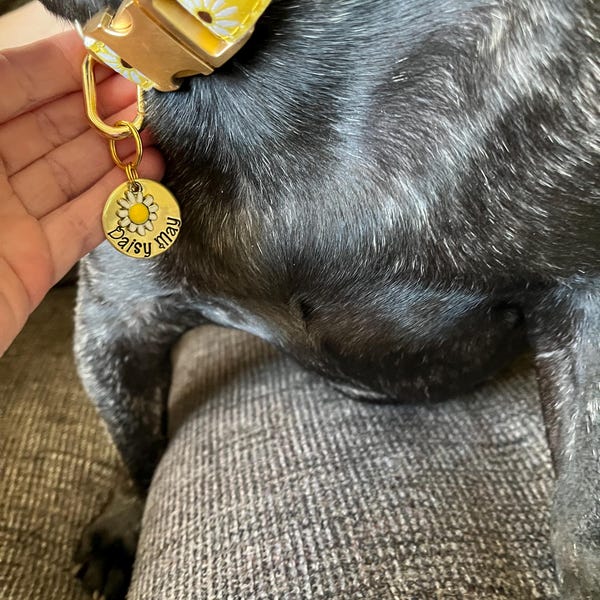 Daisy Pet ID Tag, Daisy Flower Dog Name Tag, Floral Cat Tags, Boho Dog ...