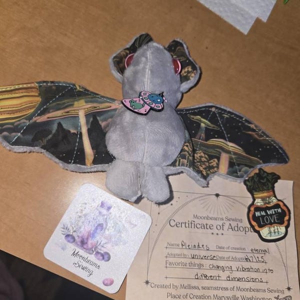Med Bat Plushie, Sky Puppies, Moonbeams Sewing, Bat Gifts, Witchy ...