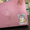 Funny Math Meme Cat Vinyl Sticker - Women With Math Meme, Intense ...