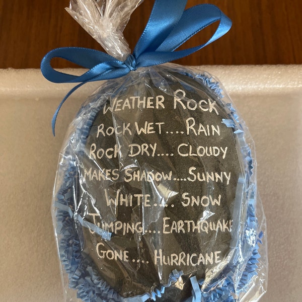 Hand Painted Weather Rock, Novelty Forecasting Stone, Small Gift ...