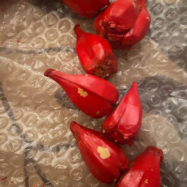 Polynesian, Samoan, Tongan Men's Traditional Ula Fala Necklace Natural ...