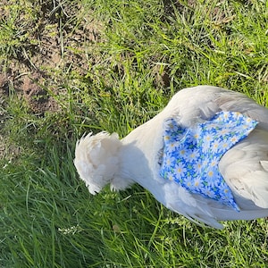 Chicken Diapers/ Hen Diapers/ Birds Diapers/rooster Diaper - Etsy
