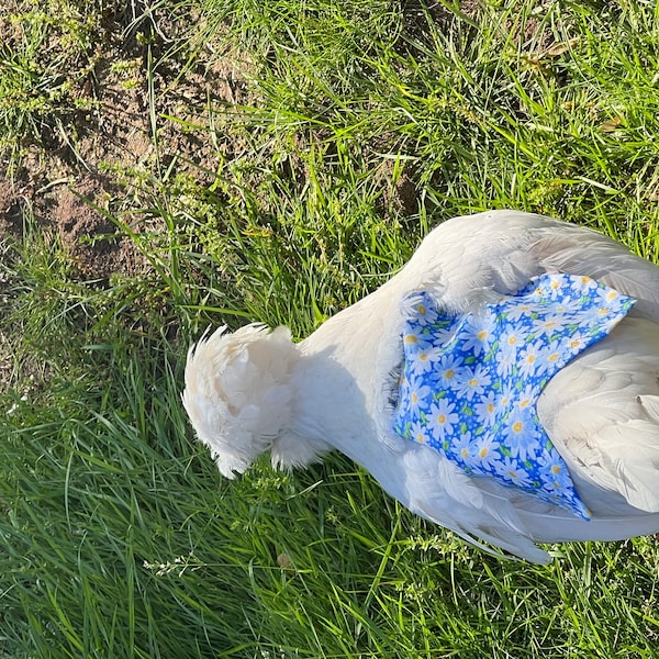 Chicken Diapers/ Hen Diapers/ Birds Diapers/rooster Diaper - Etsy
