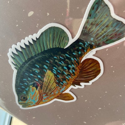 Common Loon Print Common Loon Painting Common Loon Art - Etsy