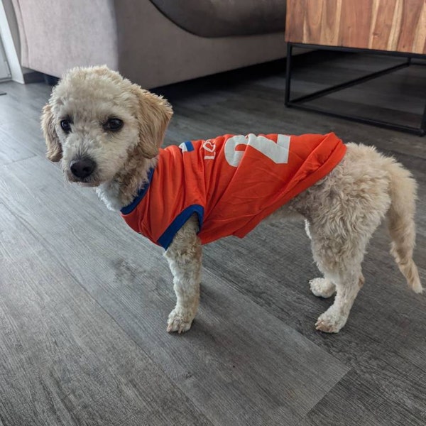 Barcelona Personalised Pet Tank Top FC 24/25 With Original FC Logo dog ...