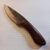 Bone Handle Damacus Skinning Knife With Sheath Bushcraft Knife Handmade ...