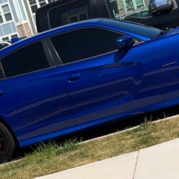 Fits 2020-2024 Jeep Gladiator Back Middle Window Mountain Tree Outdoor ...