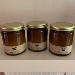 West Coast Reed Diffuser, Reed Diffusers, Aroma Diffuser, Room Freshener, Home Fragrance, Reeds ...