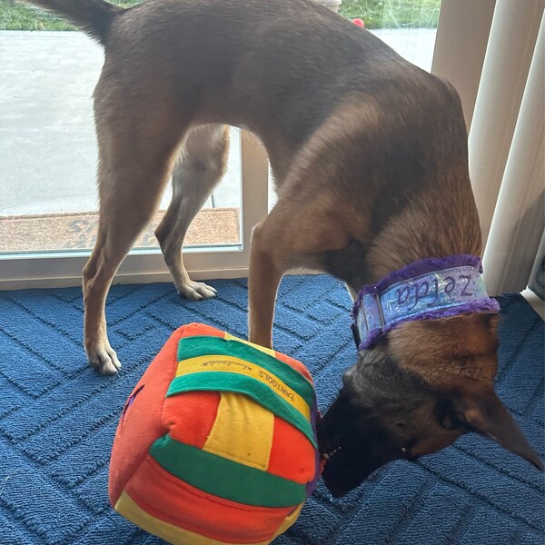 Dog Snuffle Cube JUMBO for Large Breeds, Sniffing Toy - Etsy