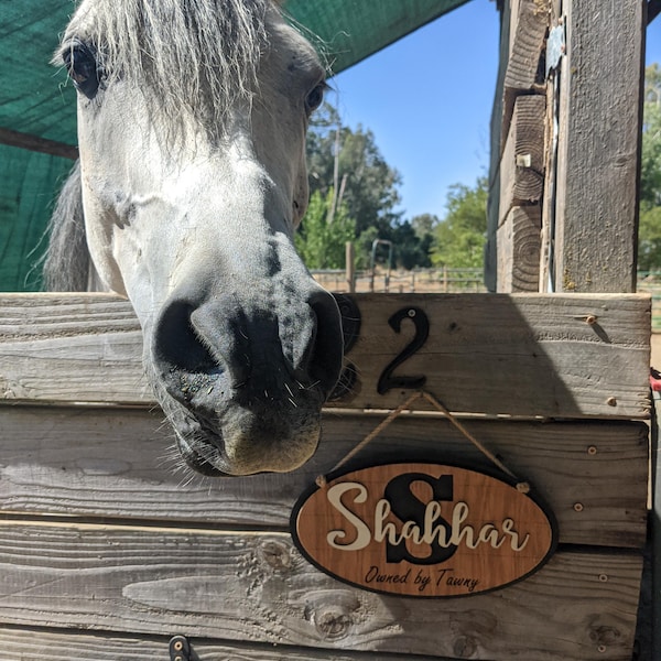 Personalized Horse Stable Sign. Horse Stall Plaque. Custom Barn Stall ...