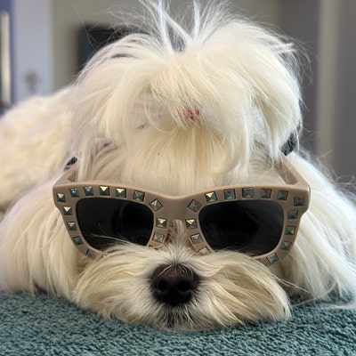 Hello Henri Large Mauve Studded Shades - Etsy